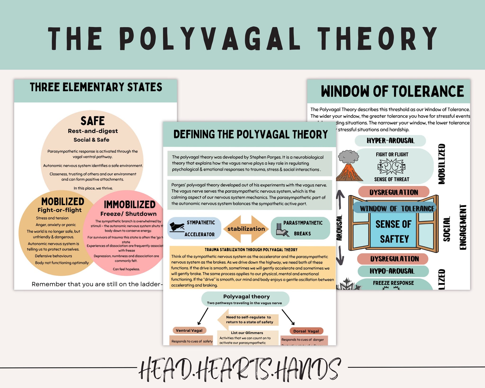 Polyvagal Theory Chart: Nervous System Regulation – TherapywithCT