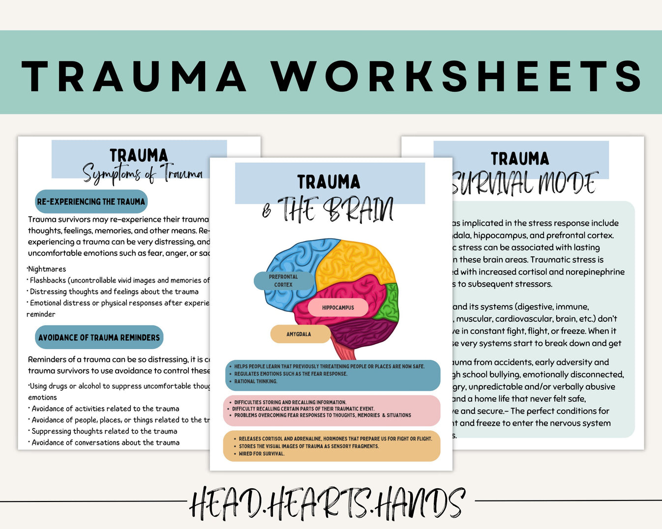 Trauma Psychoeducation Workbook: Worksheets & Healing – TherapywithCT